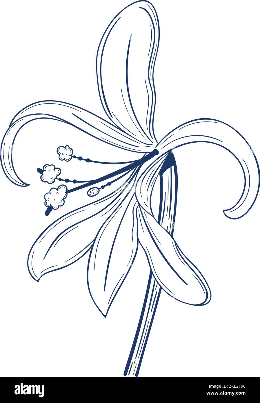 tropical flower garden sketch style Stock Vector Image & Art - Alamy