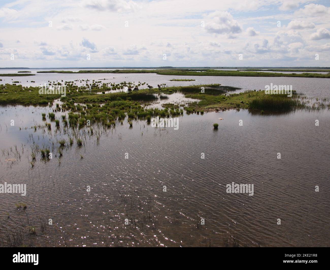 Ķemeri National Park (Republic of Latvia Stock Photo - Alamy