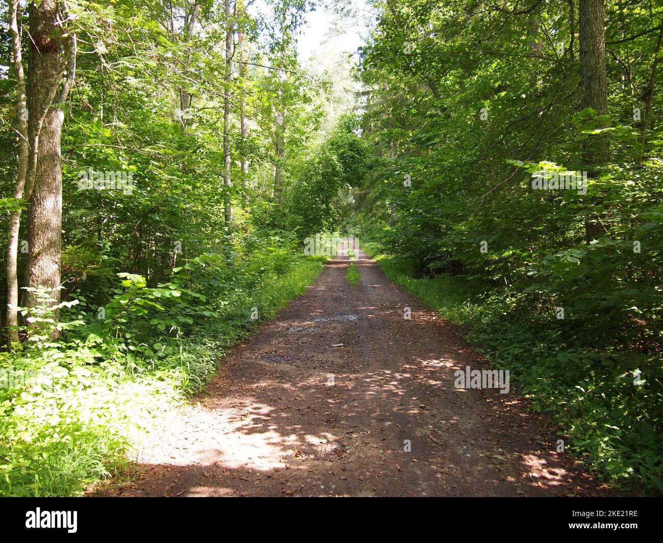 Ķemeri National Park (Republic of Latvia Stock Photo - Alamy