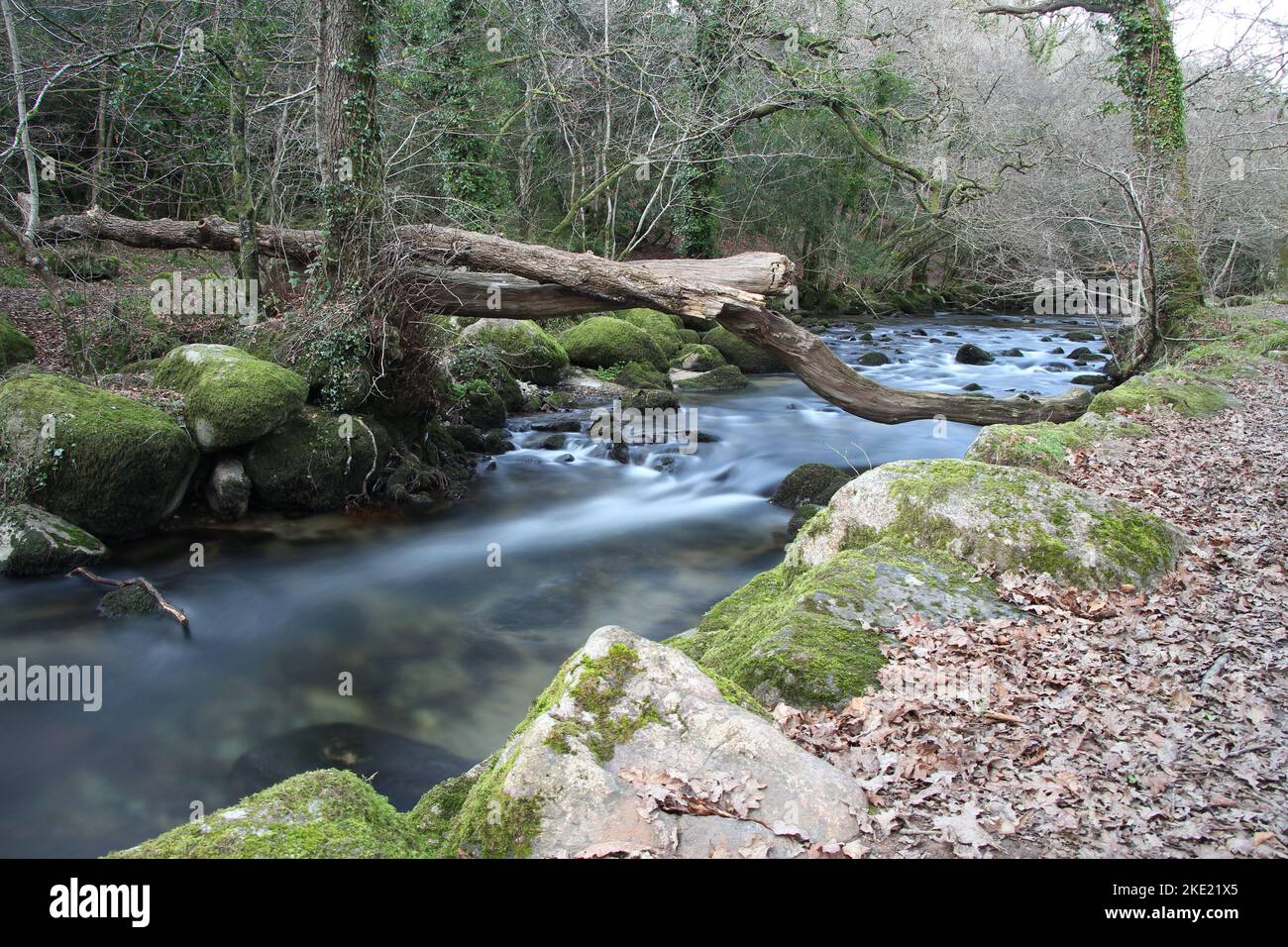 Meavy devon hi-res stock photography and images - Alamy