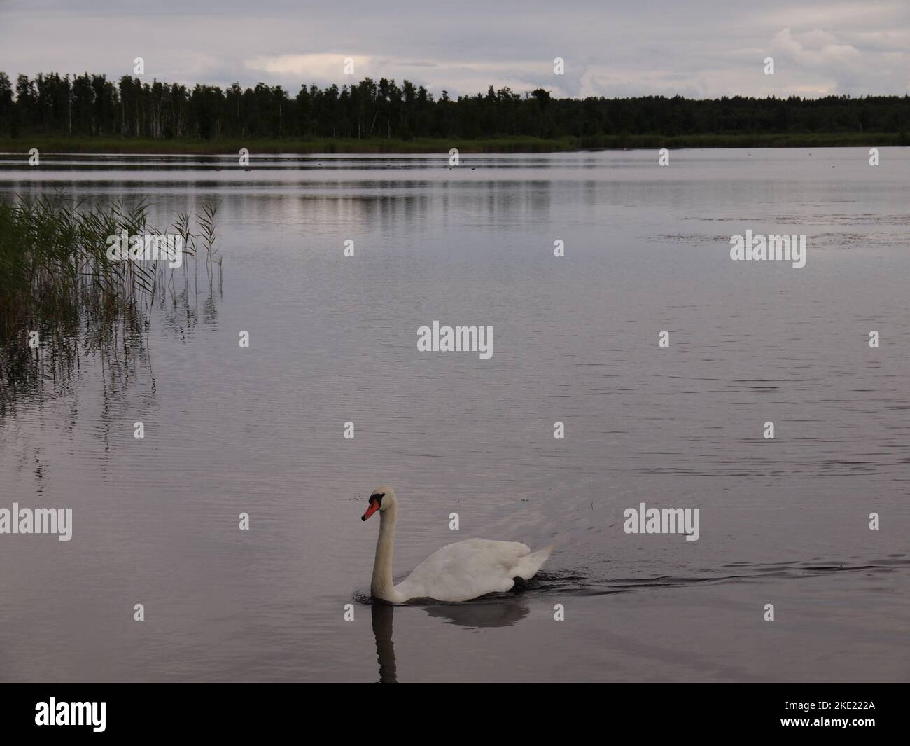 Kemeri national park sulphur hi-res stock photography and images - Alamy