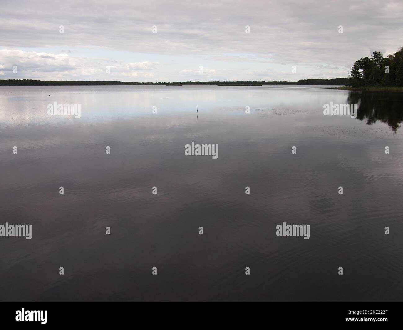 Lake Sloka (Ķemeri National Park, Republic of Latvia Stock Photo - Alamy