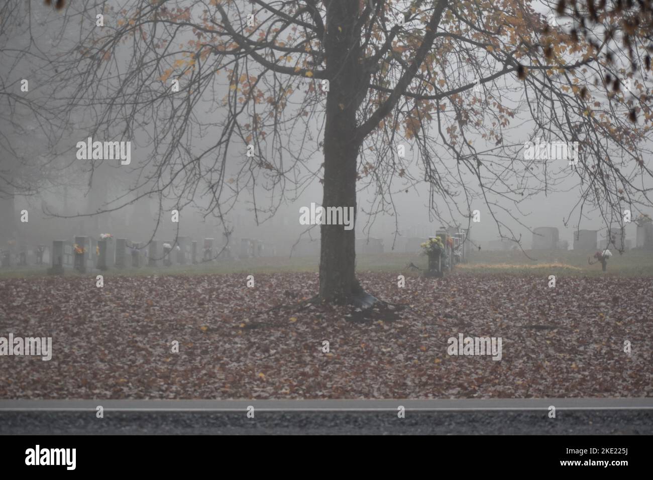 Cemetery scene with trees on a foggy fall morning Stock Photo - Alamy