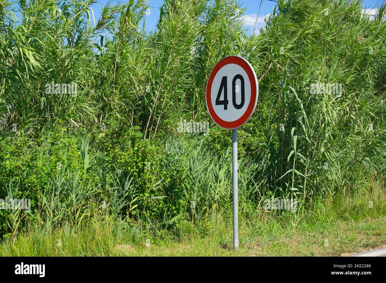 The speed limit 40 road sign against the background of the green ...