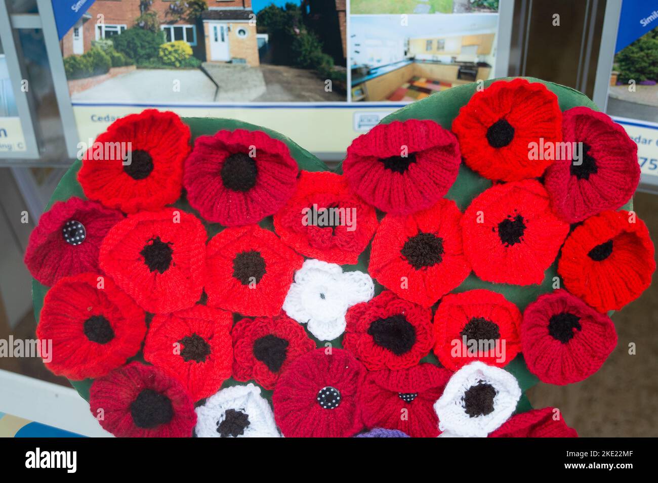 Bagshot, Surrey, UK. 7th November, 2022. A vibrant Remembrance Day ...