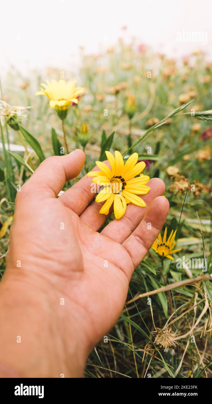 Sustentable development hi-res stock photography and images - Alamy