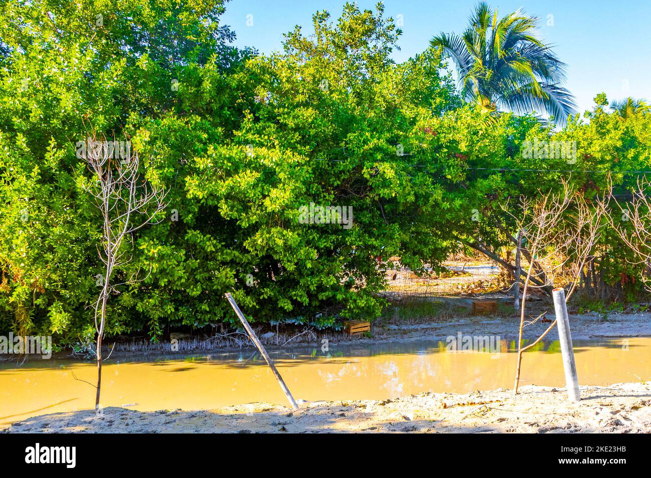 Sandy muddy road walking path and landscape view with tropical nature ...