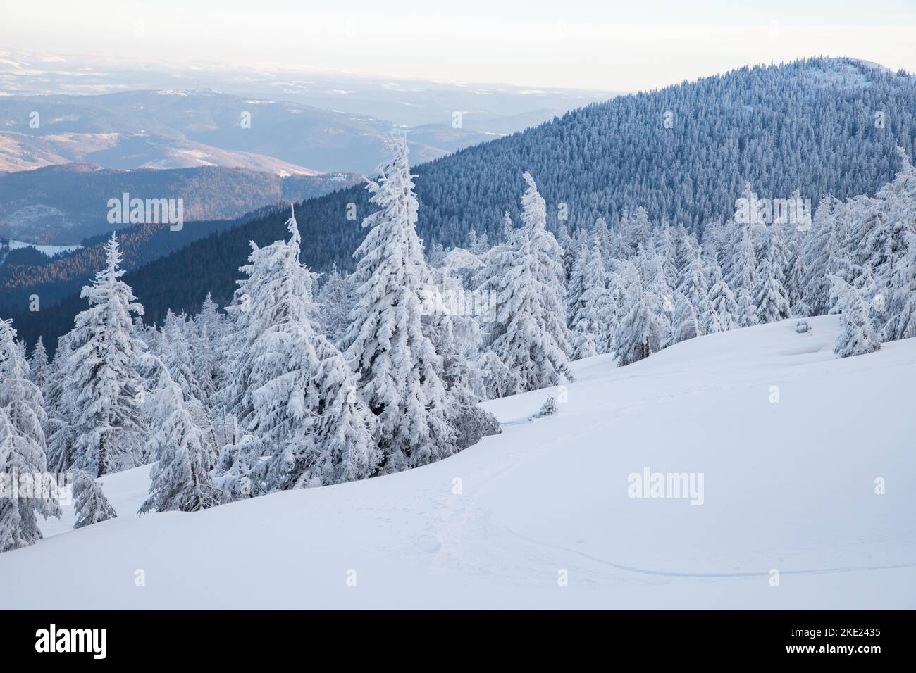 magical frozen winter landscape with snow covered fir trees Stock Photo ...