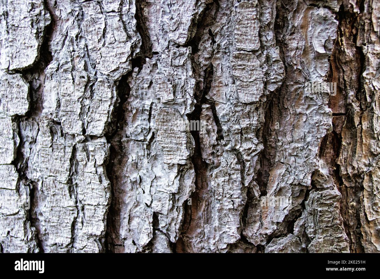 Colbun chile hi-res stock photography and images - Alamy