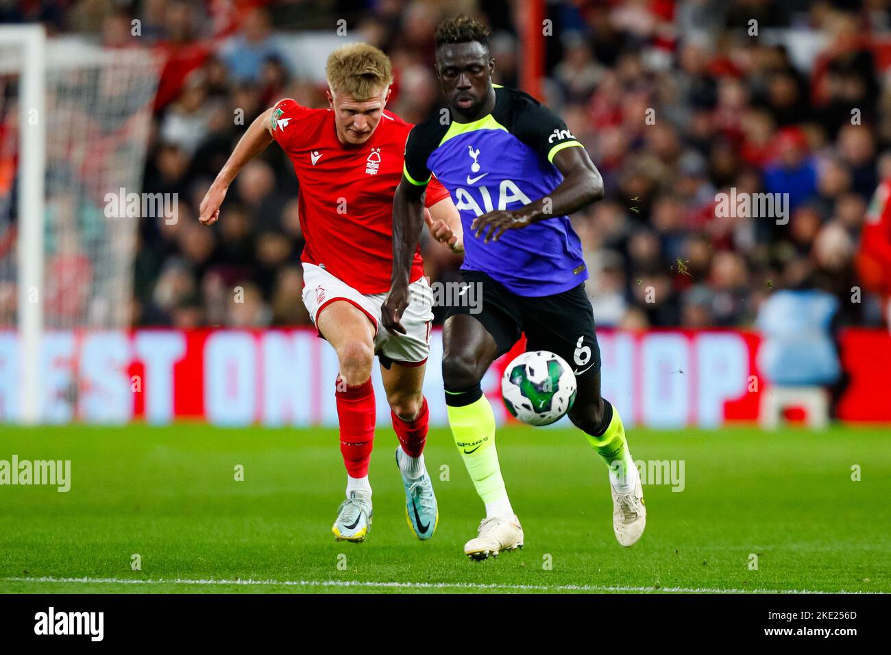 Sam surridge forest hi-res stock photography and images - Alamy