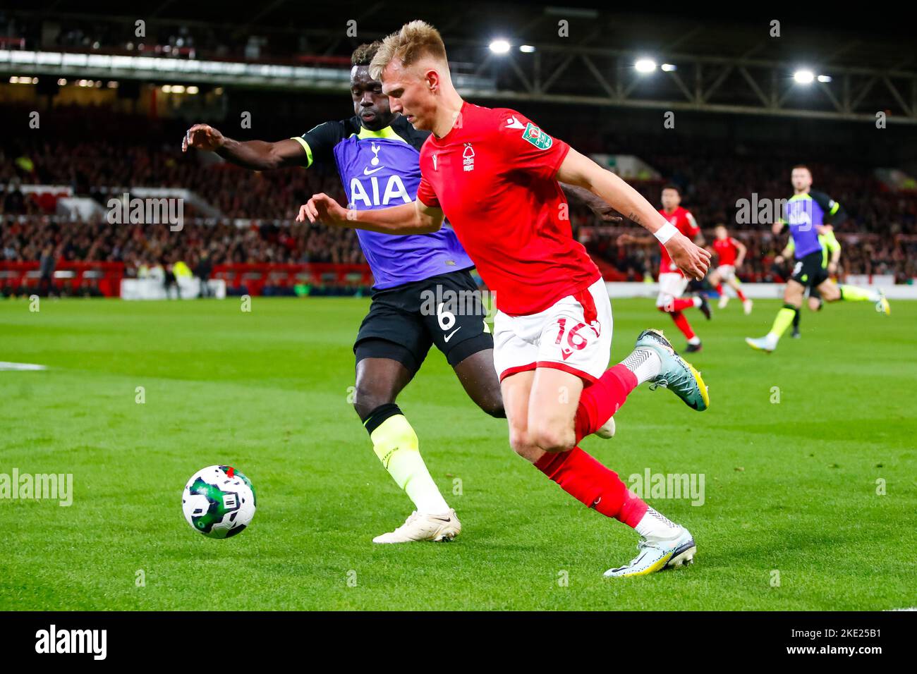 Surridge forest hi-res stock photography and images - Alamy