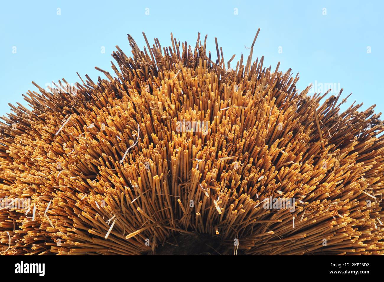 straw nature texture against blue sky background Stock Photo - Alamy