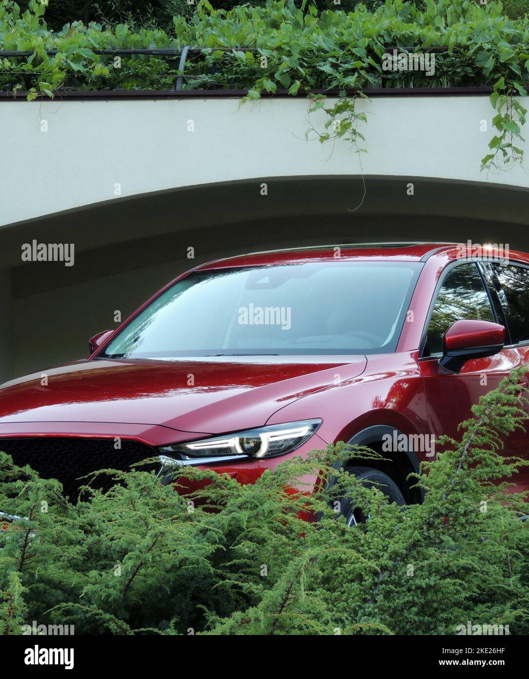 Front part of modern red car parked on outdoor parking Stock Photo - Alamy