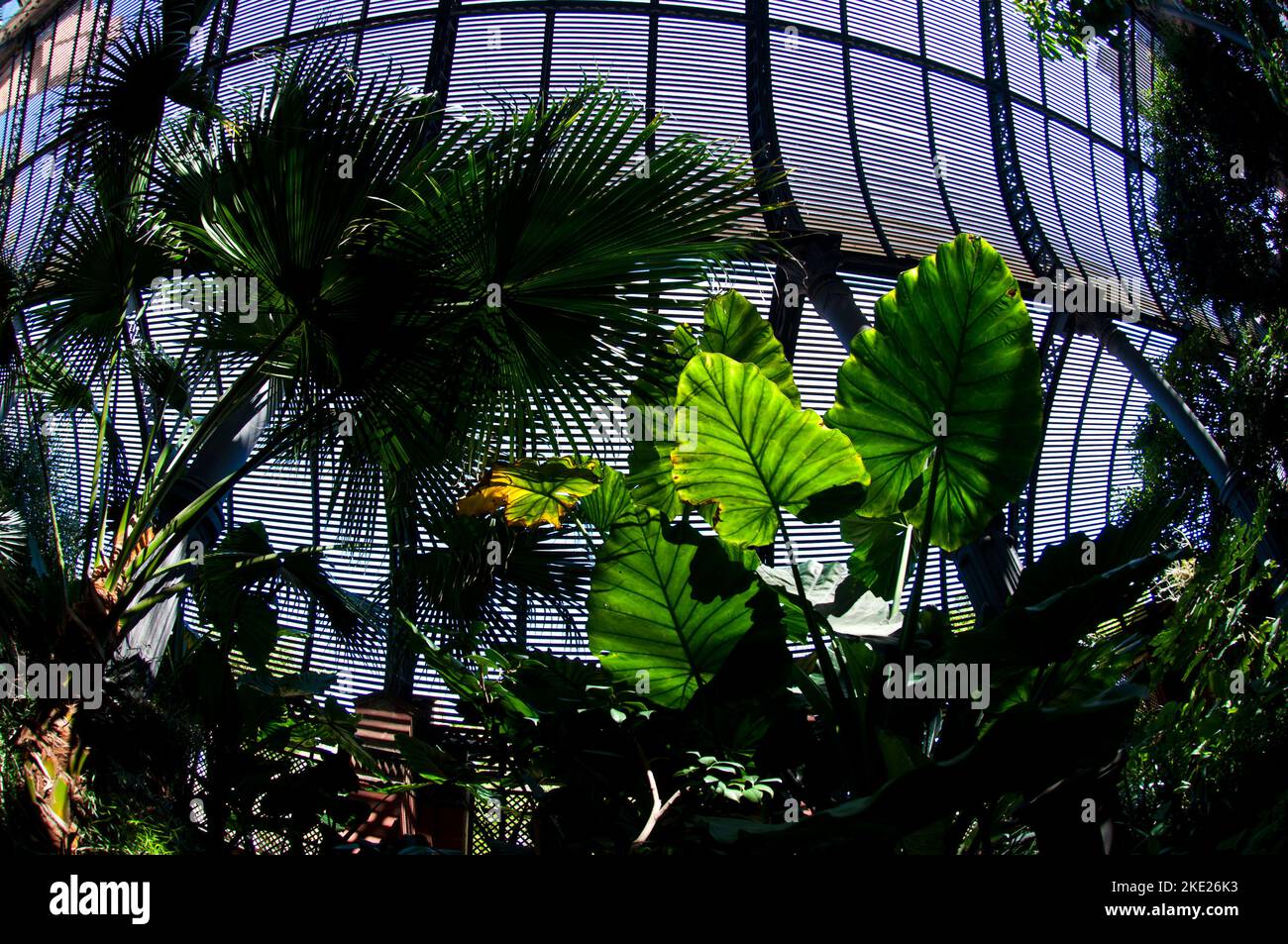 Umbracle gardens hi-res stock photography and images - Alamy