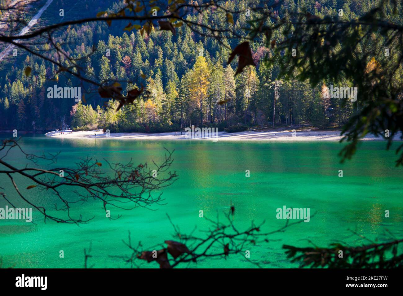 The crystal clear waters of Lake Tovel, Trentino Alto Adige, Italy ...
