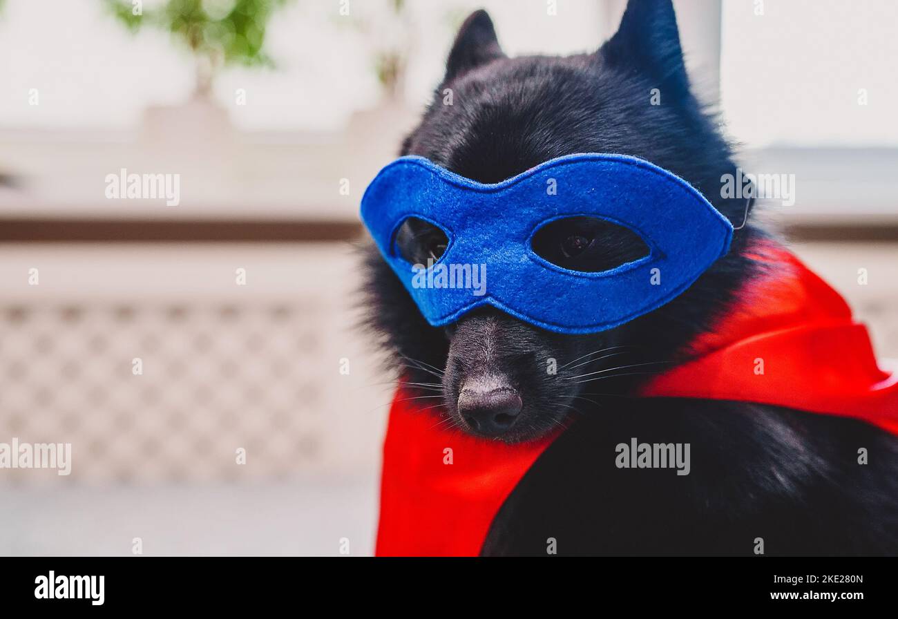 Super meme hi-res stock photography and images - Alamy