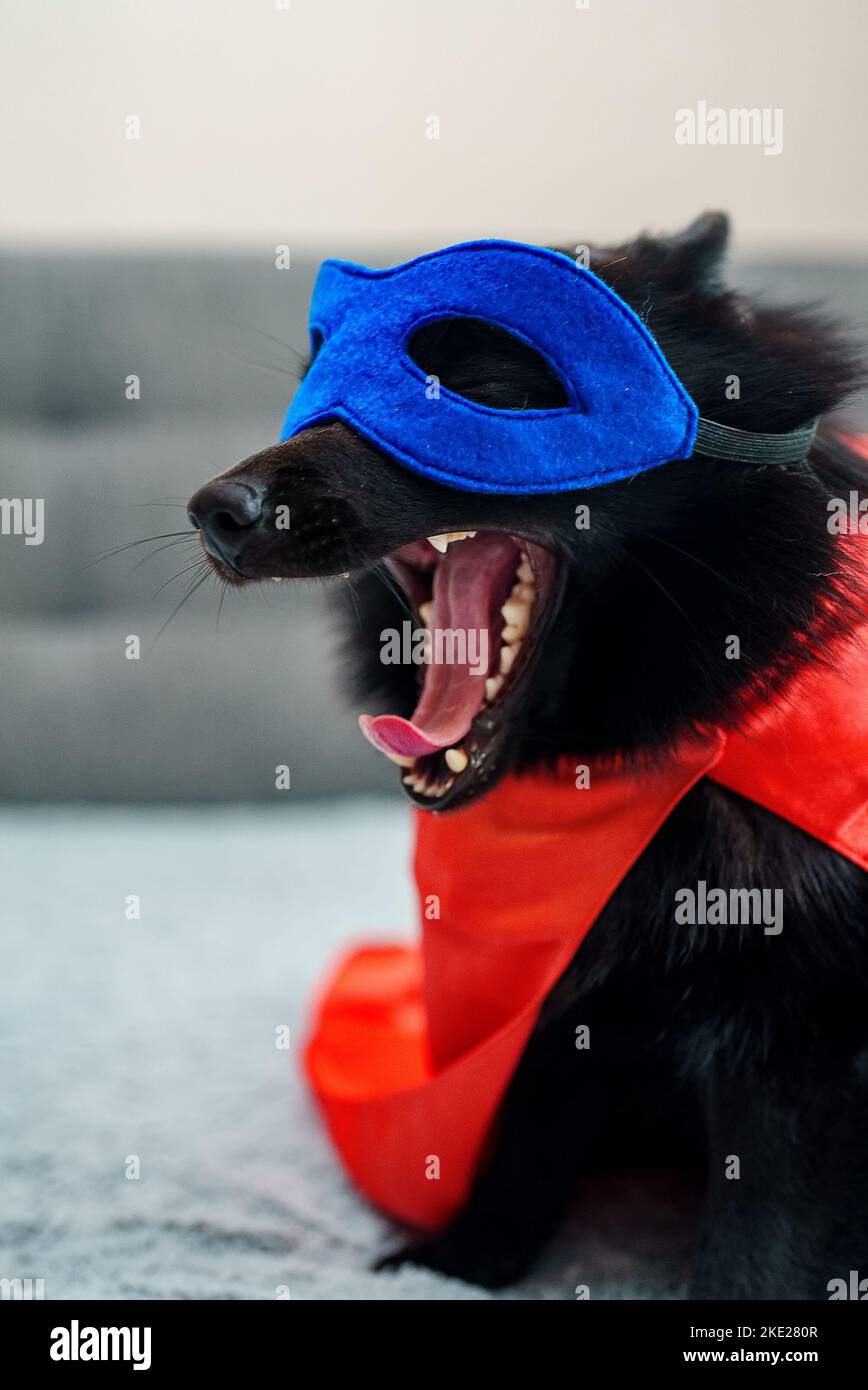 Super meme hi-res stock photography and images - Alamy