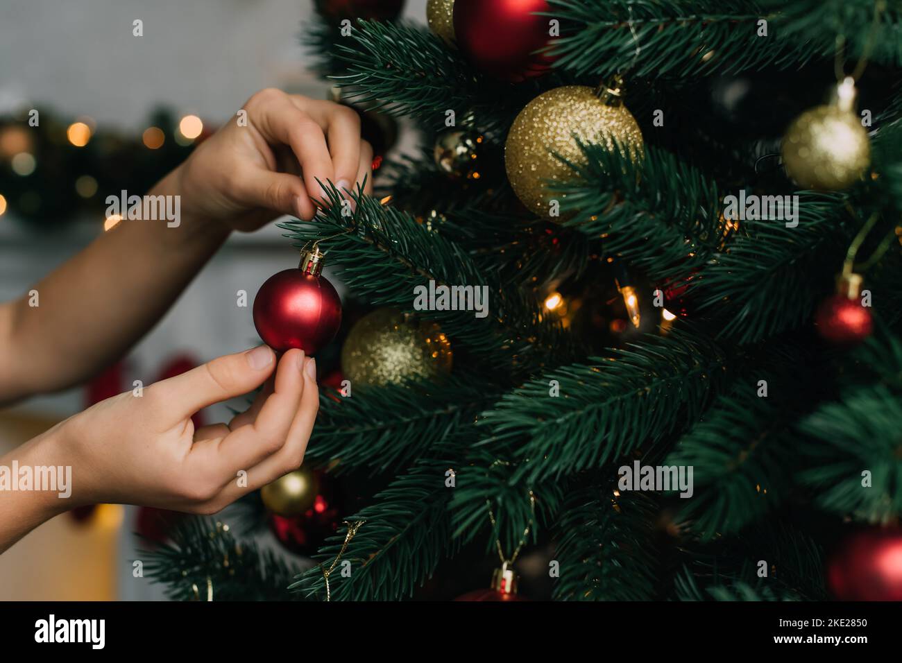 Cropped view of child decorating pine tree with Christmas ball at home ...