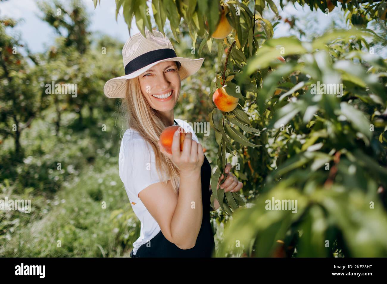 Woman peach tree hi-res stock photography and images - Alamy