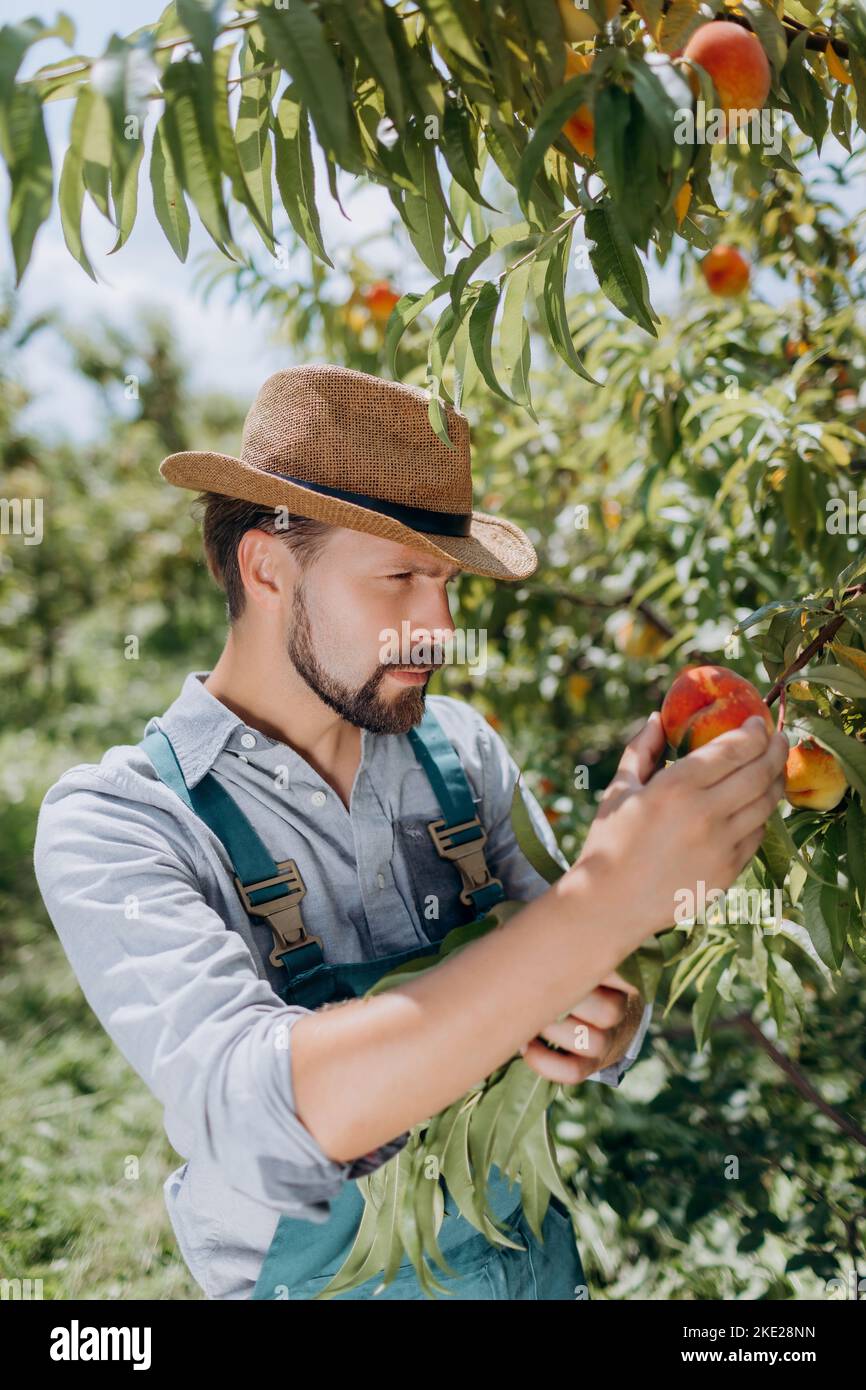 Peach man hi-res stock photography and images - Alamy