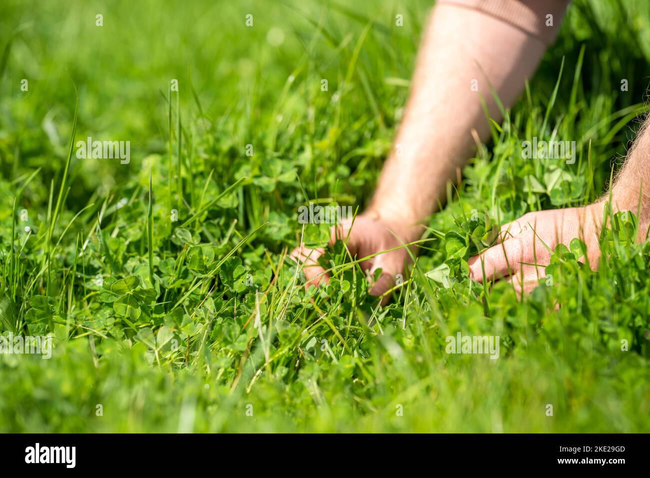 soil carbon scientist research in the field conducted with farmers and ...