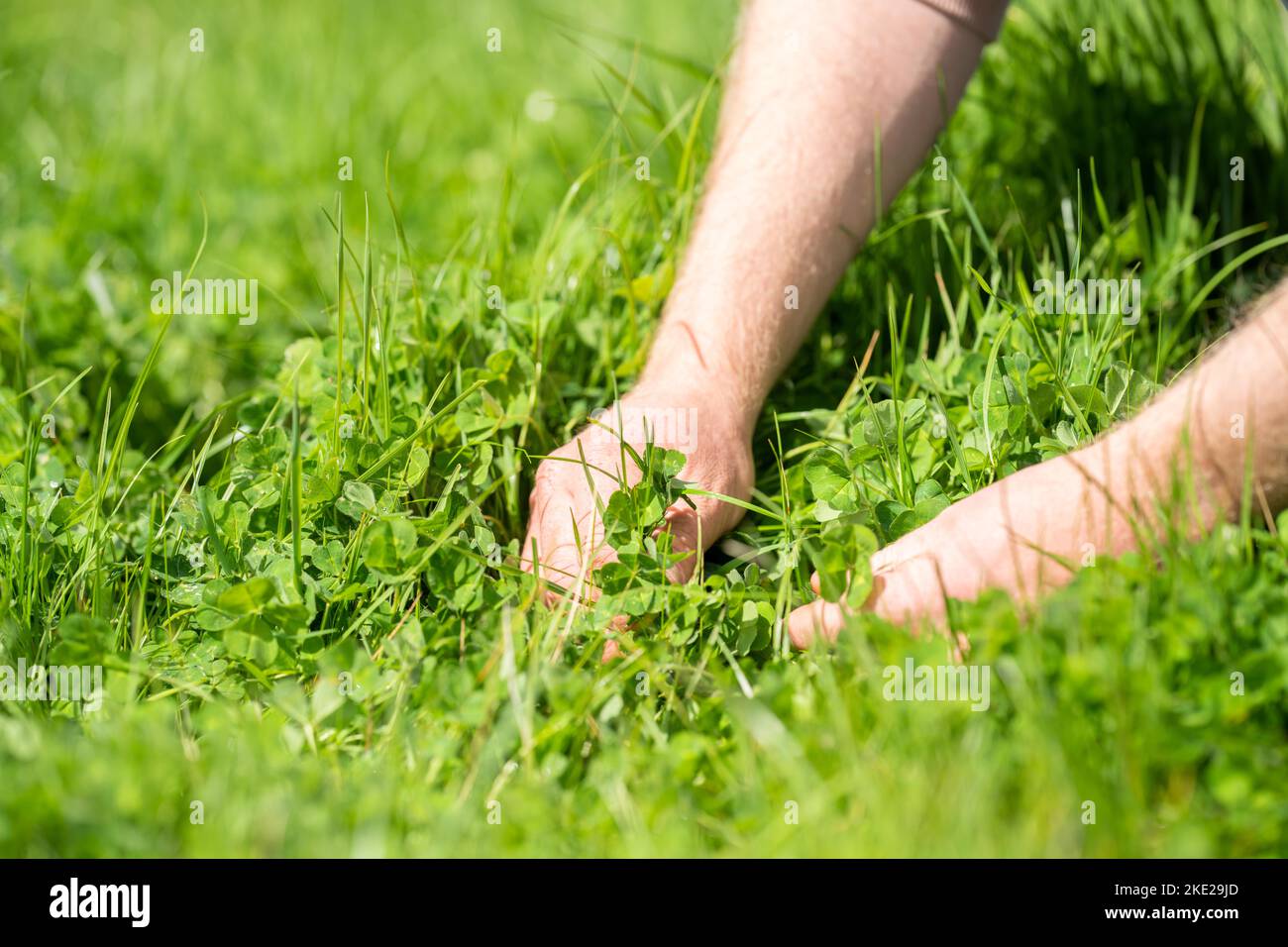 Growth stages human hi-res stock photography and images - Alamy