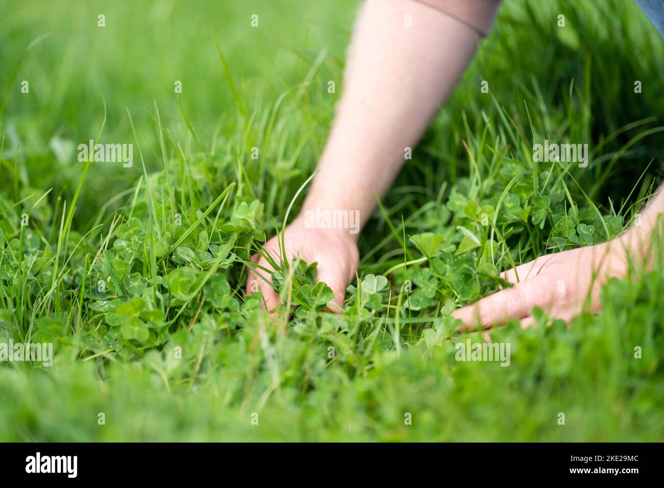 Australia man gardening hi-res stock photography and images - Alamy