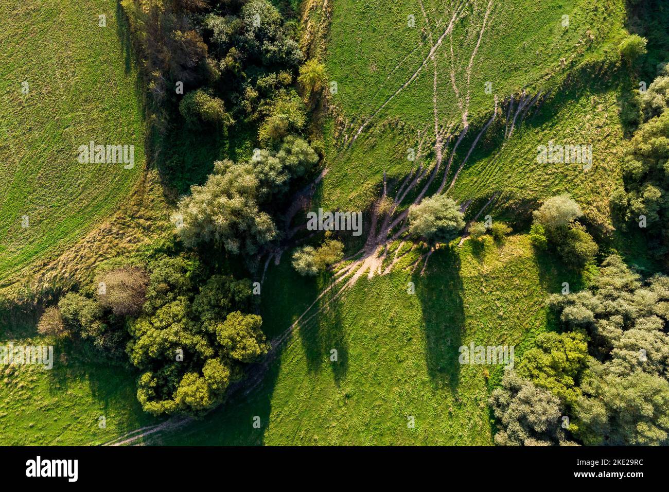 Aerial view green landscape with a small ravine crossed by numerous ...