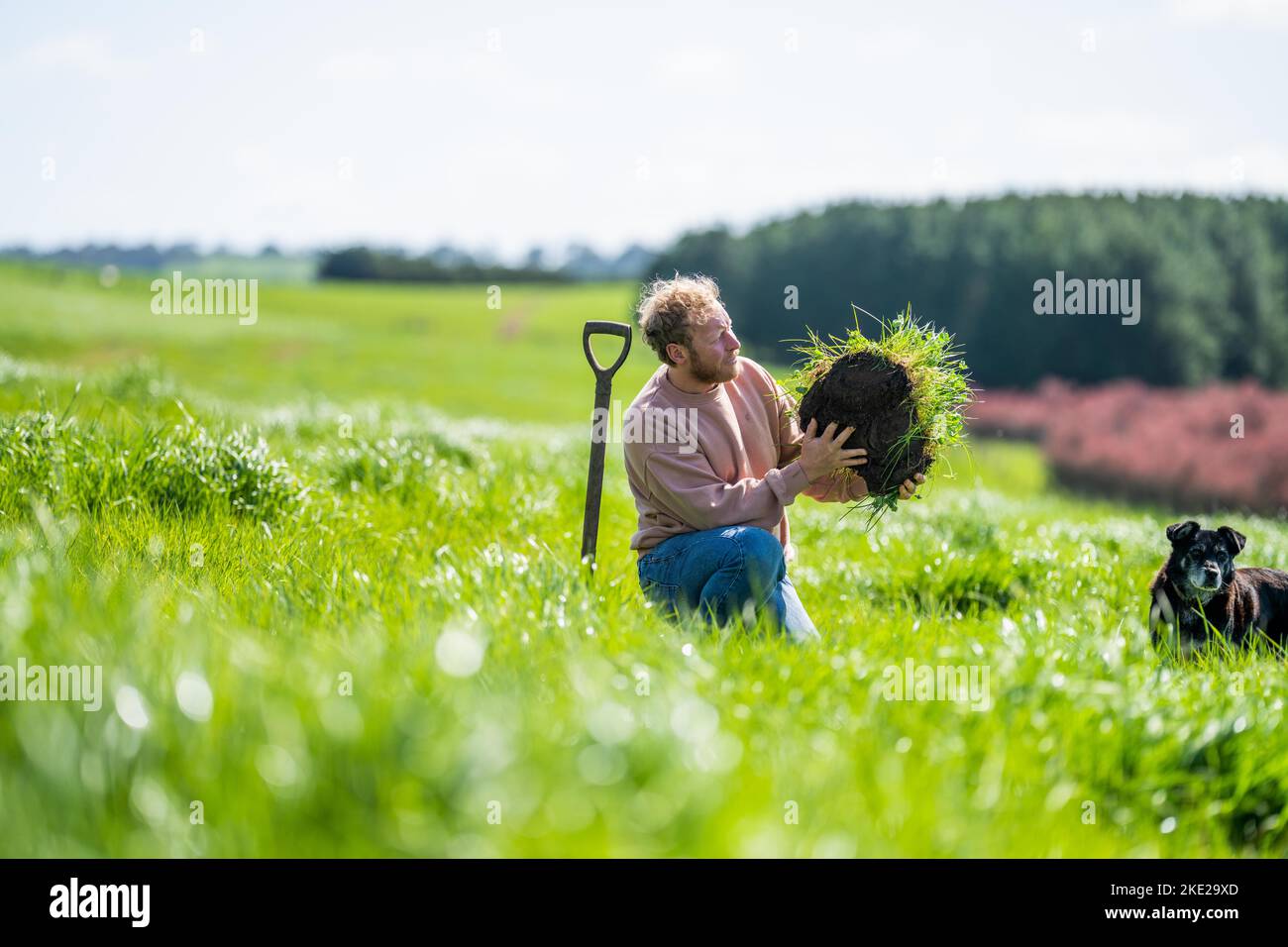 agriculture agronomy accessing plant growth and soil health science in ...