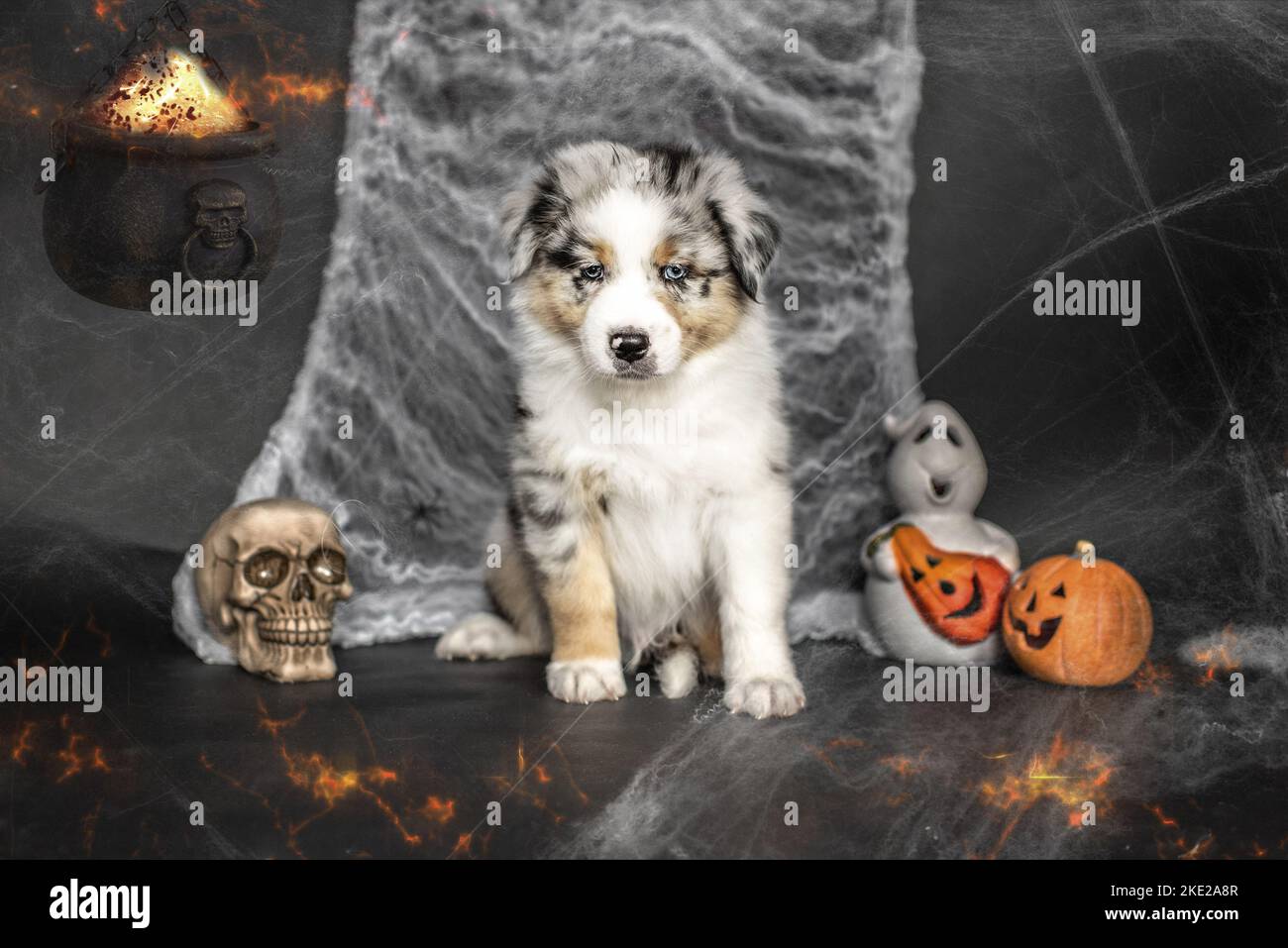 Fire to scare animals hi-res stock photography and images - Alamy