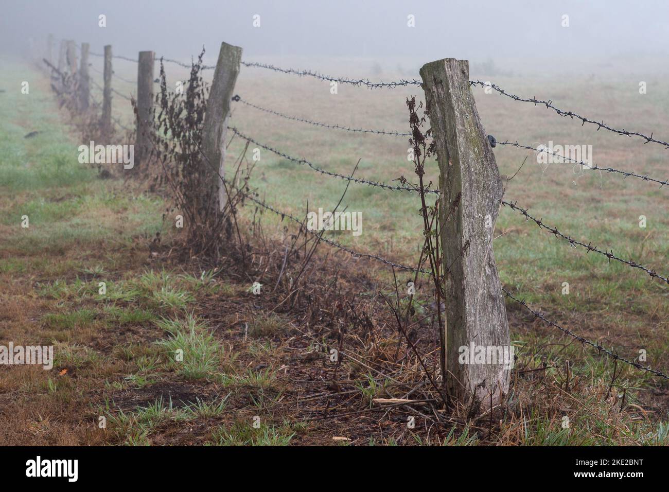 Old pasture fence with oak posts, which slowly disappears in the gray ...