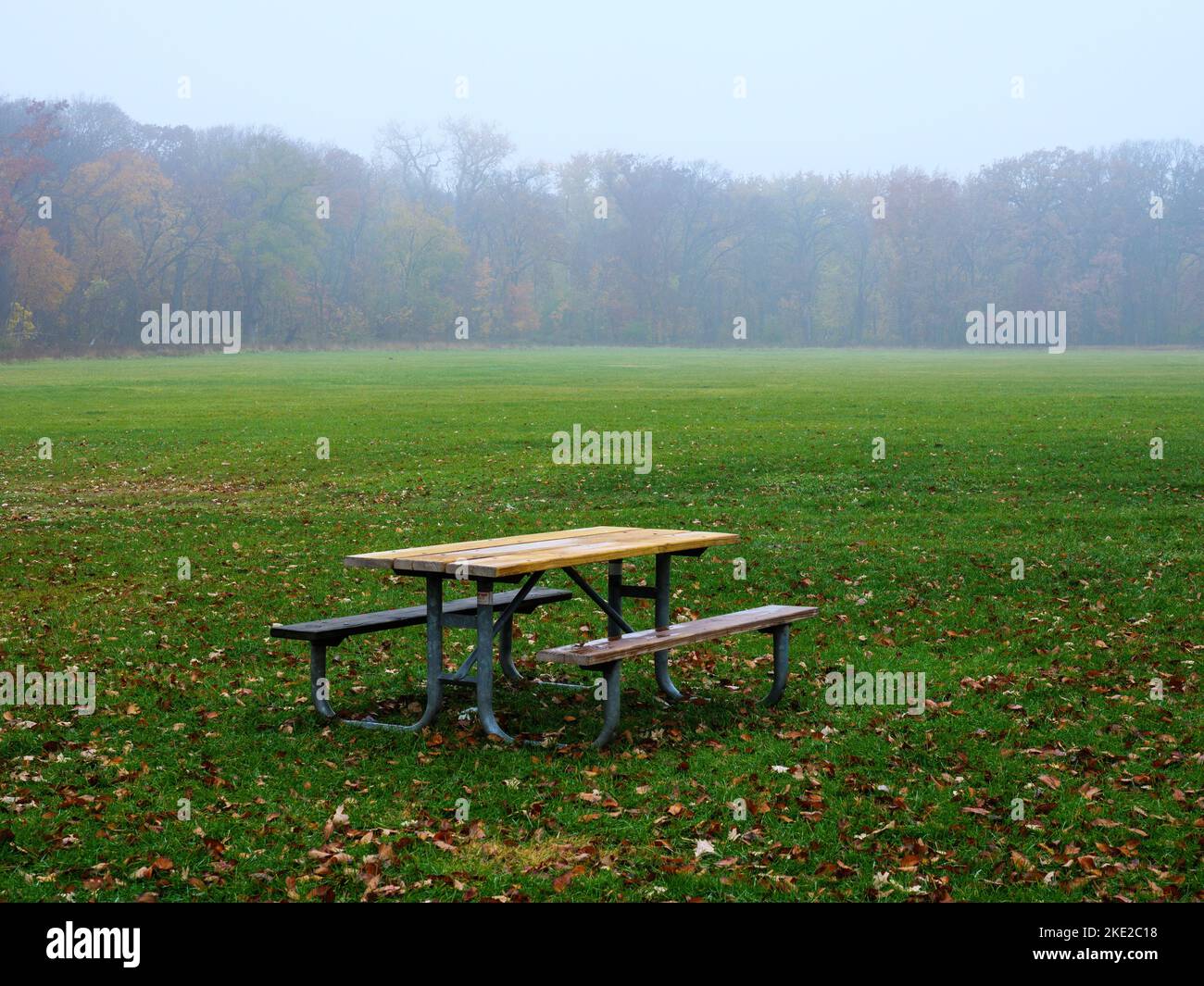 Picnic table in a field on a foggy autumn day with forest in distance ...