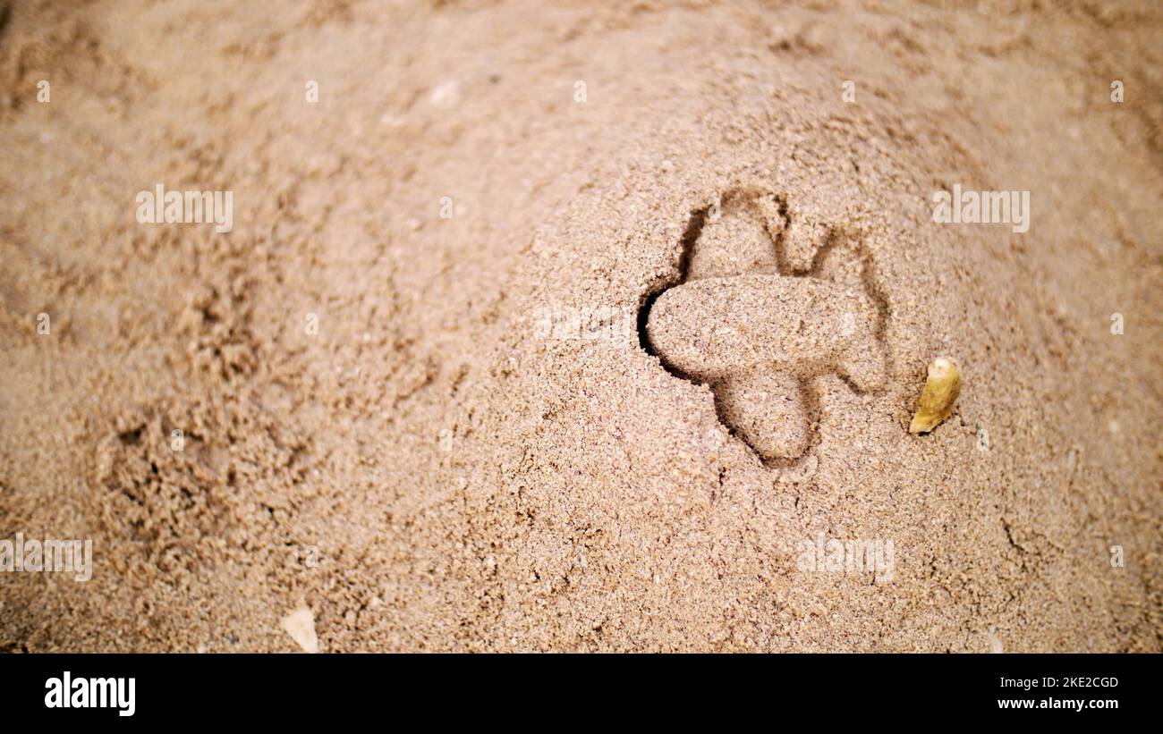 on the sand, you can see the silhouette of the airplane, the imprint of ...