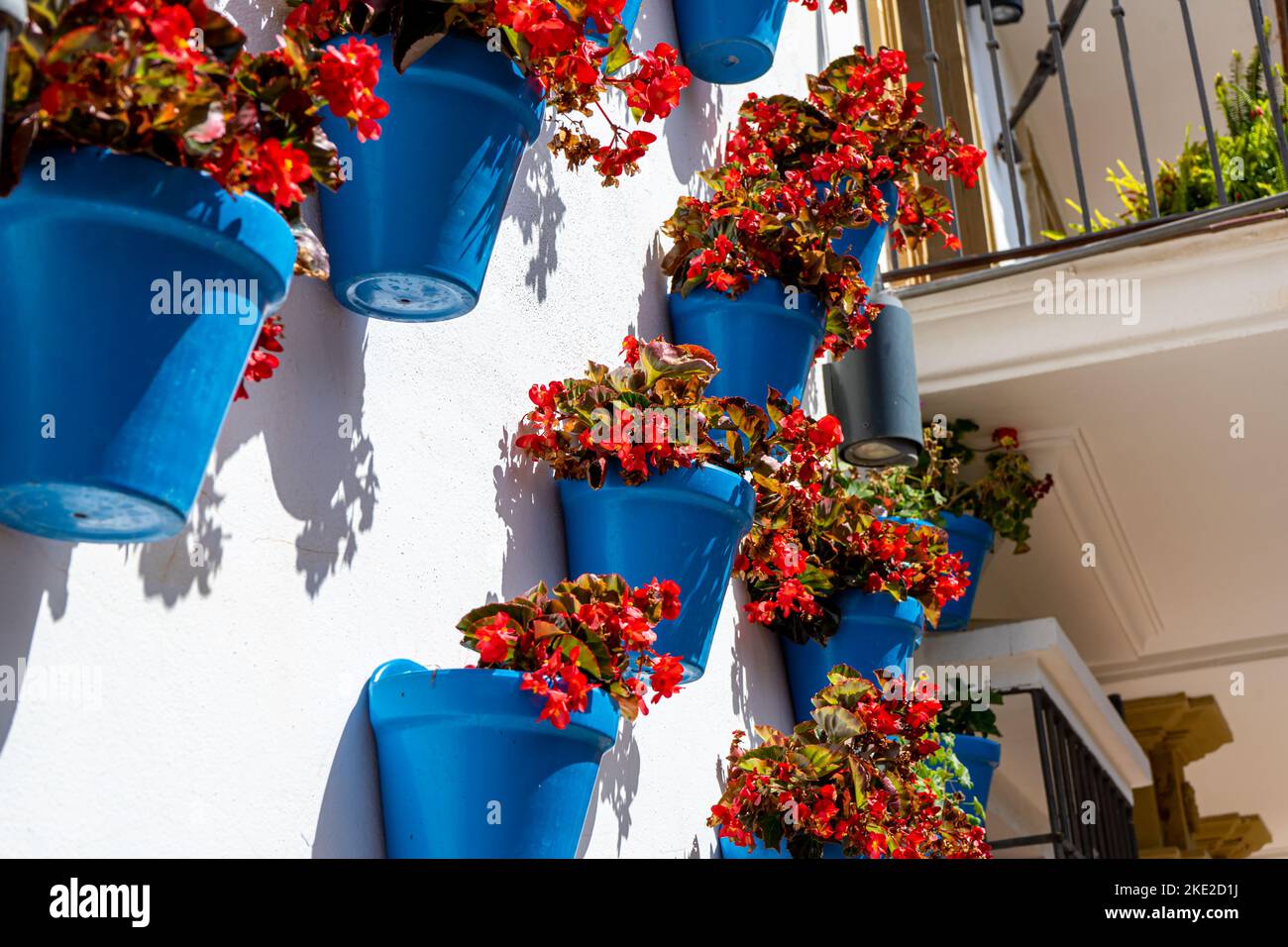 MARBELLA, SPAIN - SEPTEMBER 11, 2022: Blossom flowers on white streets ...