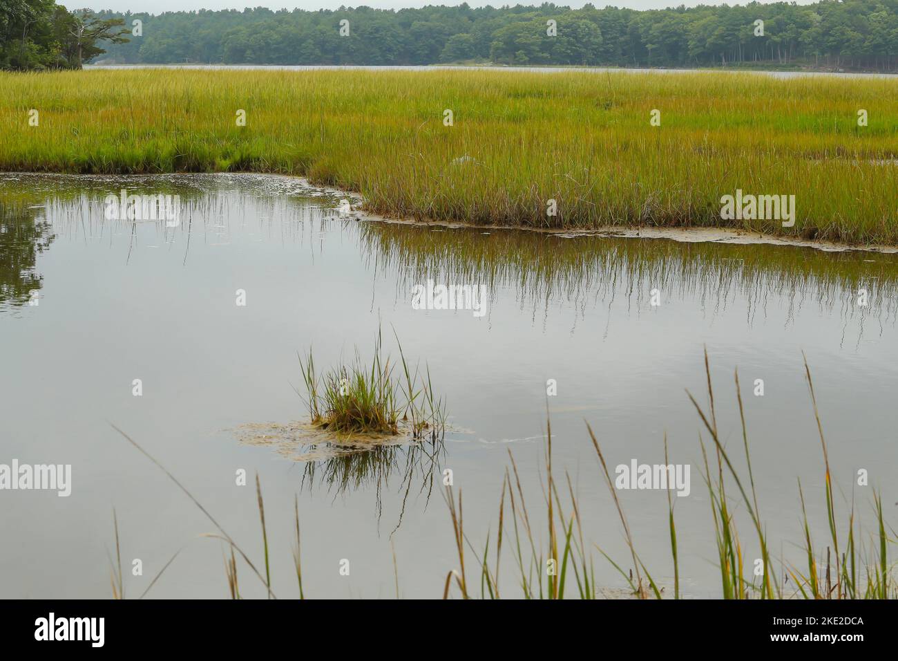Fields, forest, tidal marshes, rocky shores and great views are here to ...