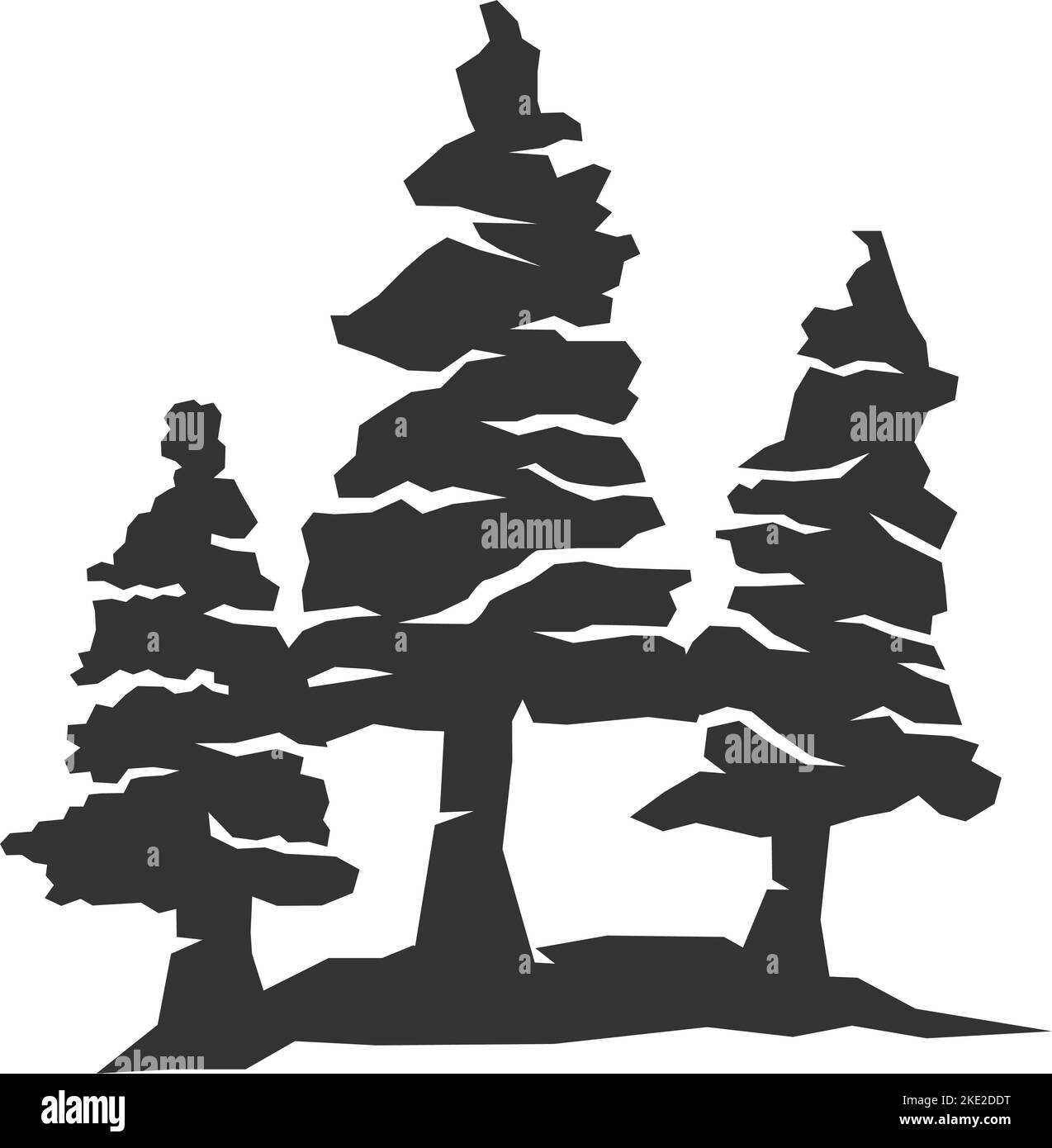 Elegant branch pine tree Black and White Stock Photos & Images - Alamy