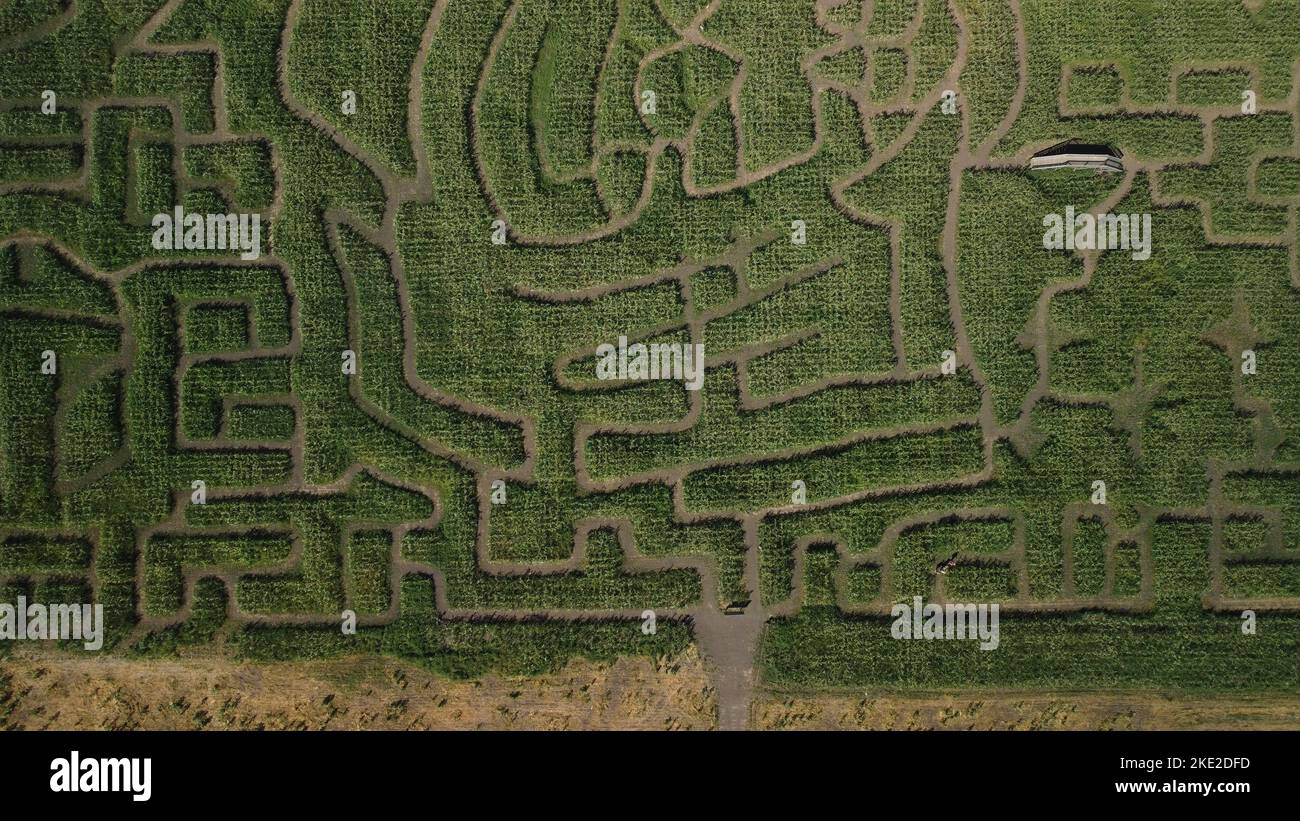 Aerial view maze corn field hi-res stock photography and images - Alamy