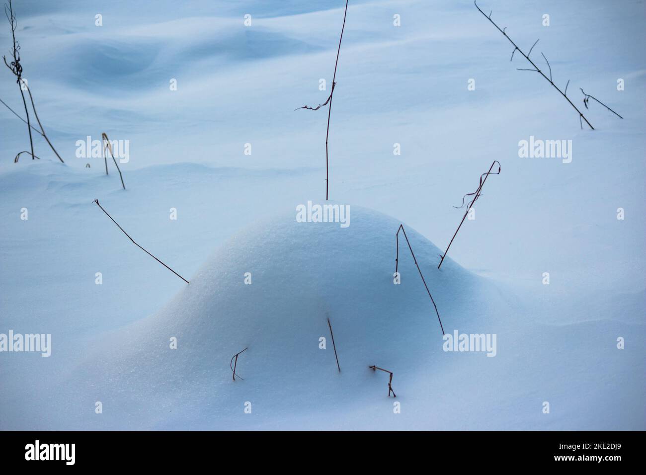Snowdrift in the middle of a snowy field, winter nature landscape Stock ...