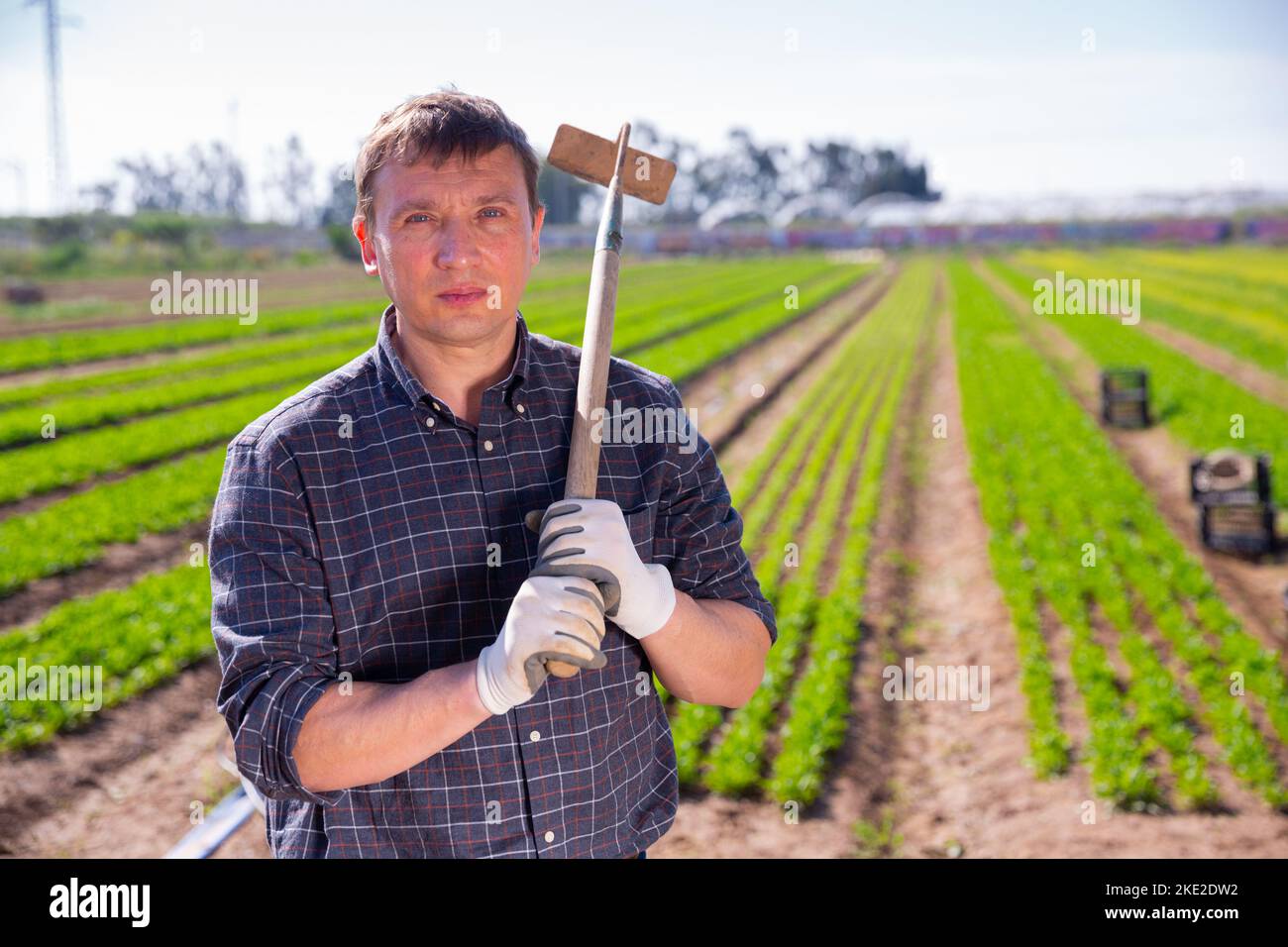 Hoe owner hi-res stock photography and images - Alamy