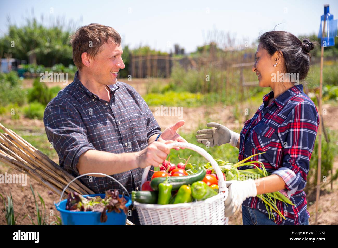 Conversation of good neighbors during meeting on field Stock Photo - Alamy