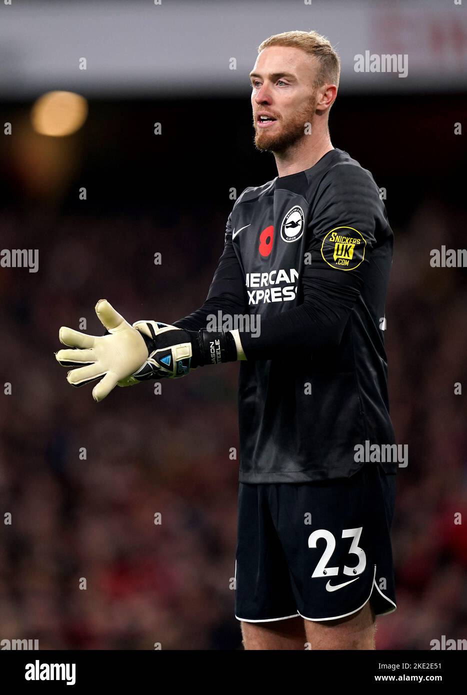 Jason steele brighton hi-res stock photography and images - Alamy