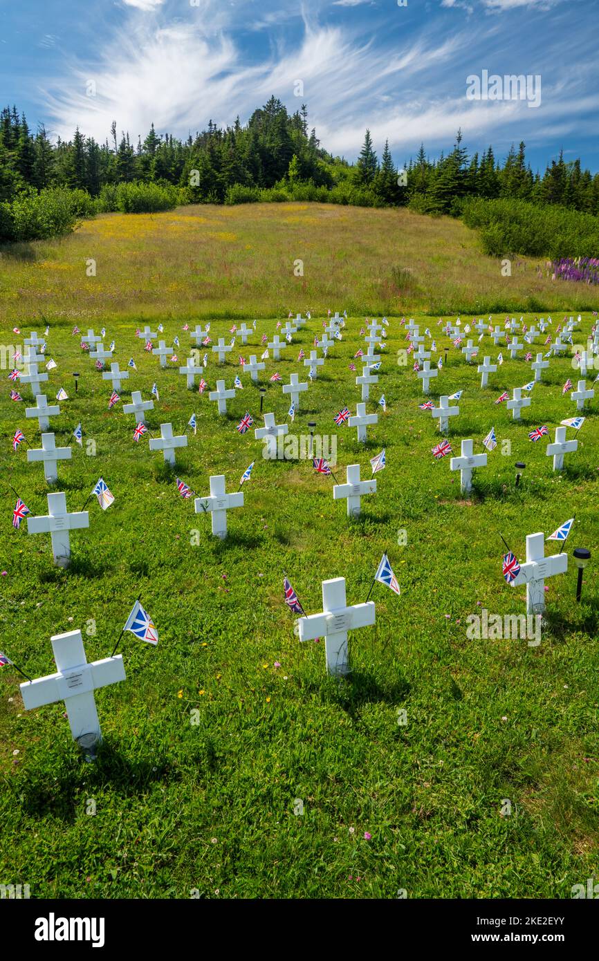 World War One memorial to Newfoundland Regiment veterans who fought at ... World War One memorial to Newfoundland Regiment veterans who fought at ...
