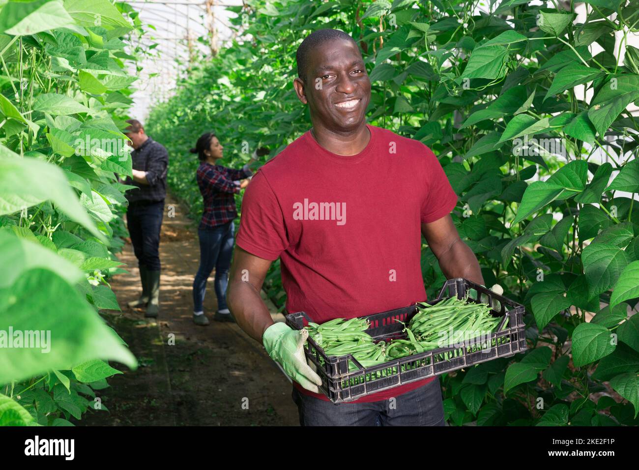 African american smiling worker arranging hi-res stock photography and ...