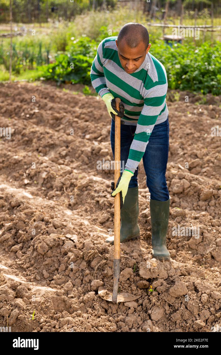 Indian man professional horticulturist with garden mattock Stock Photo ...