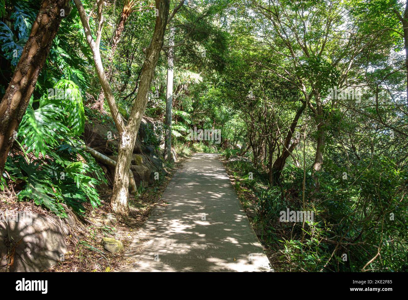 A more rugged, tree-covered section of the Cremorne Point Foreshore ...