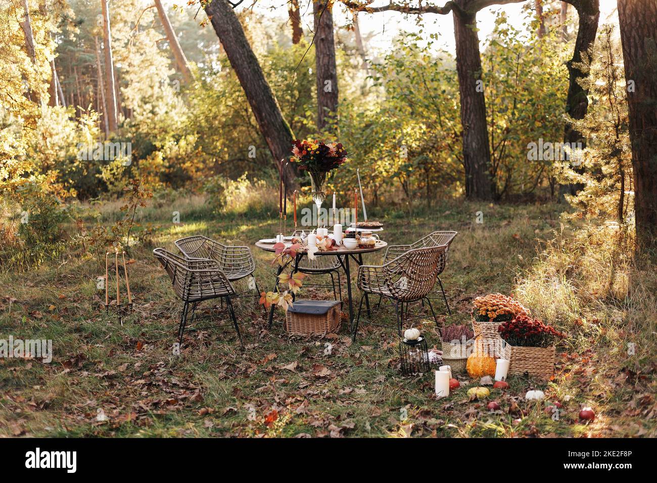 Cozy autumn picnic in the park. Festive setting table decorated ...
