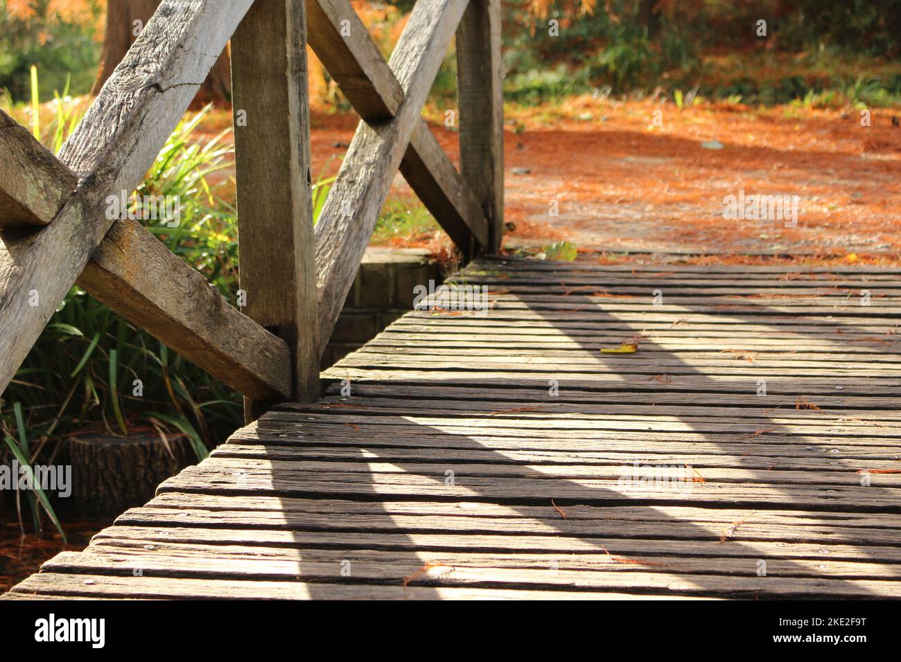 Low level view hi-res stock photography and images - Alamy