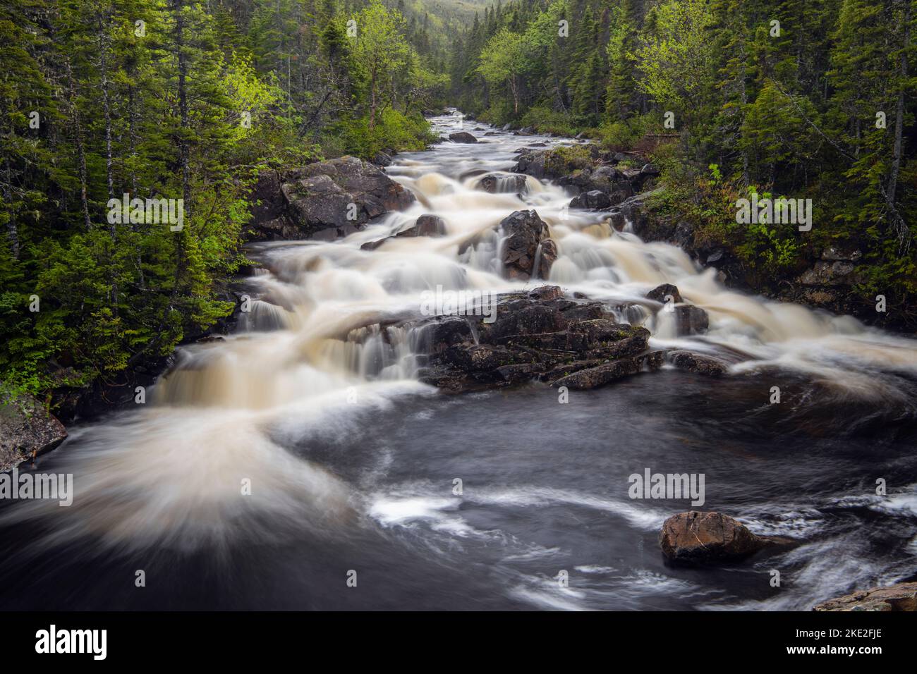 Western newfoundland region hi-res stock photography and images - Alamy