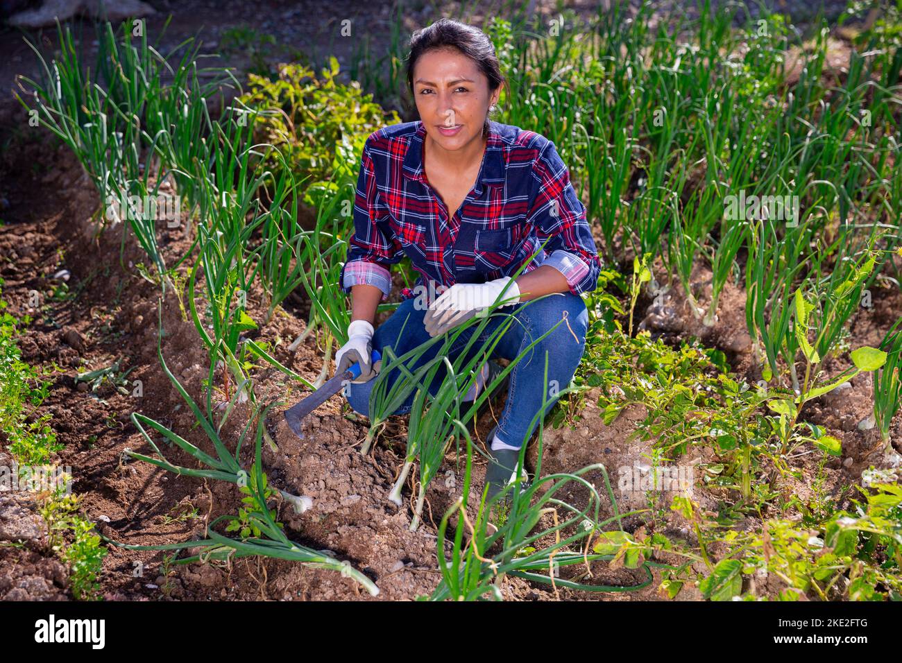 Peruvian woman sitting near greens and vegetables seedlings Stock Photo ...