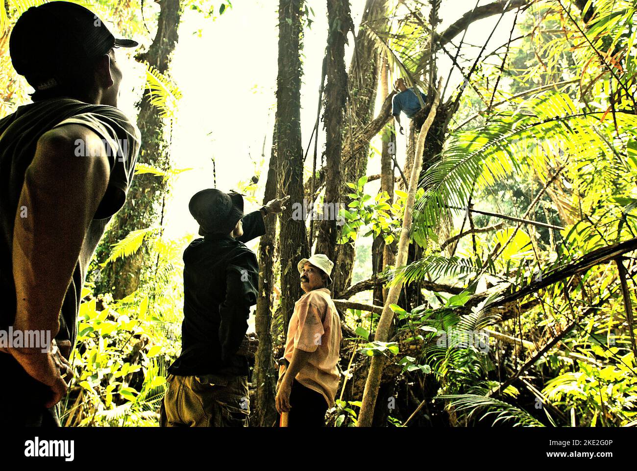 National park rangers having a discussion during an effort to build a ...